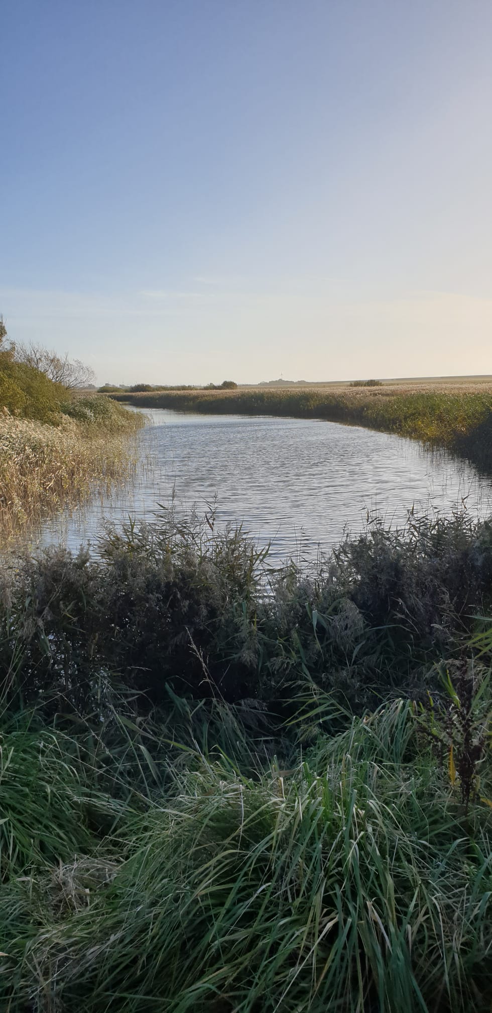 Neuer Reitweg für den Kreis Nordfriesland - Reitwege SH Neuer Reitweg für den Kreis Nordfriesland - Reitwege SH